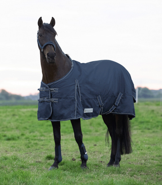 Výbehové deky pre koňa - Všetko pre vaše kone - WateHorse.sk